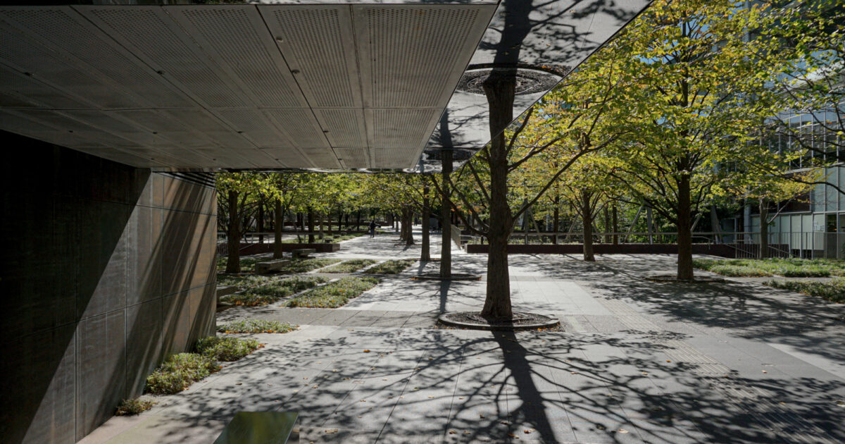 Learning from Trees: Conversation with… | IIT College of Architecture